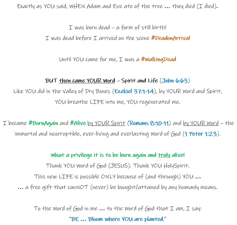Lessons Learned from the Garden of Eden – Part 3 – Rivers in the Desert